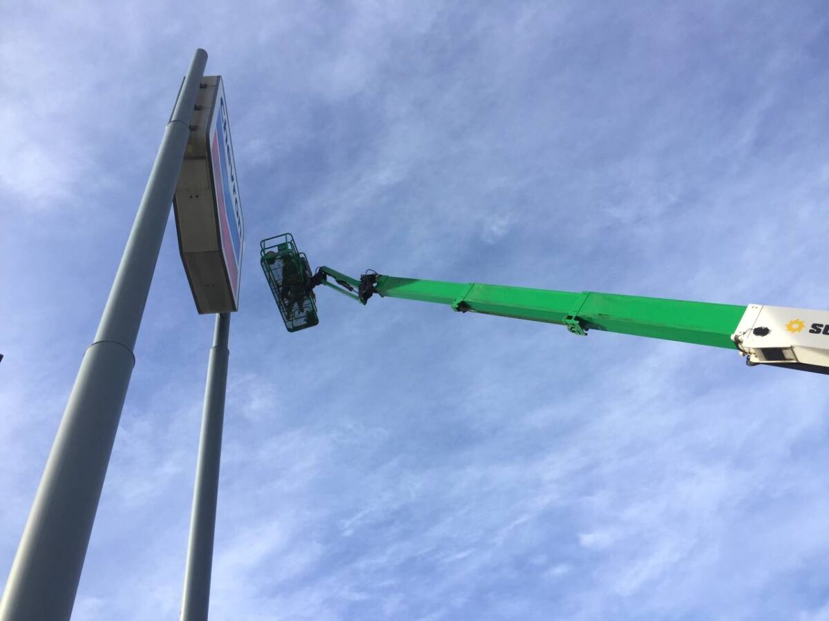 When Bees Fly High | Bee Best Bee Removal