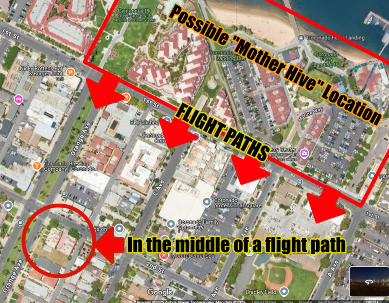 What are Bee Flight Patterns and why they are important? | Bee Best Bee ...